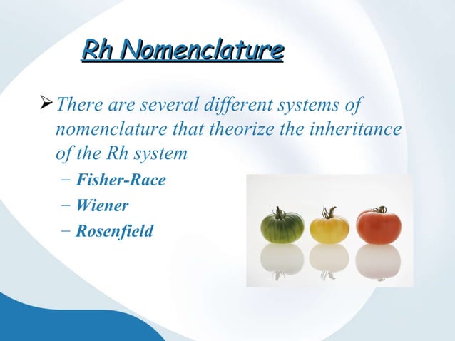 Rh Blood Group System | PPT