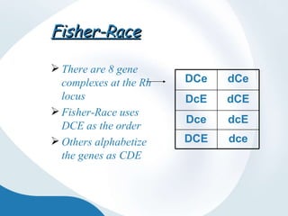 Rh Blood Group System | PPT