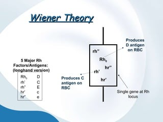 Rh Blood Group System | PPT