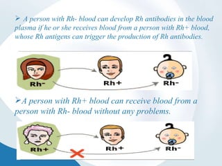 Rh Blood Group System | PPT