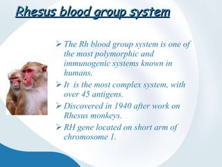Rh Blood Group System | PPT