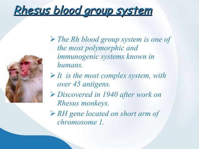 Rh Blood Group System | PPT