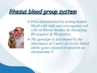 Rh Blood Group System | PPT