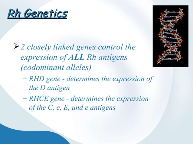 Rh Blood Group System | PPT