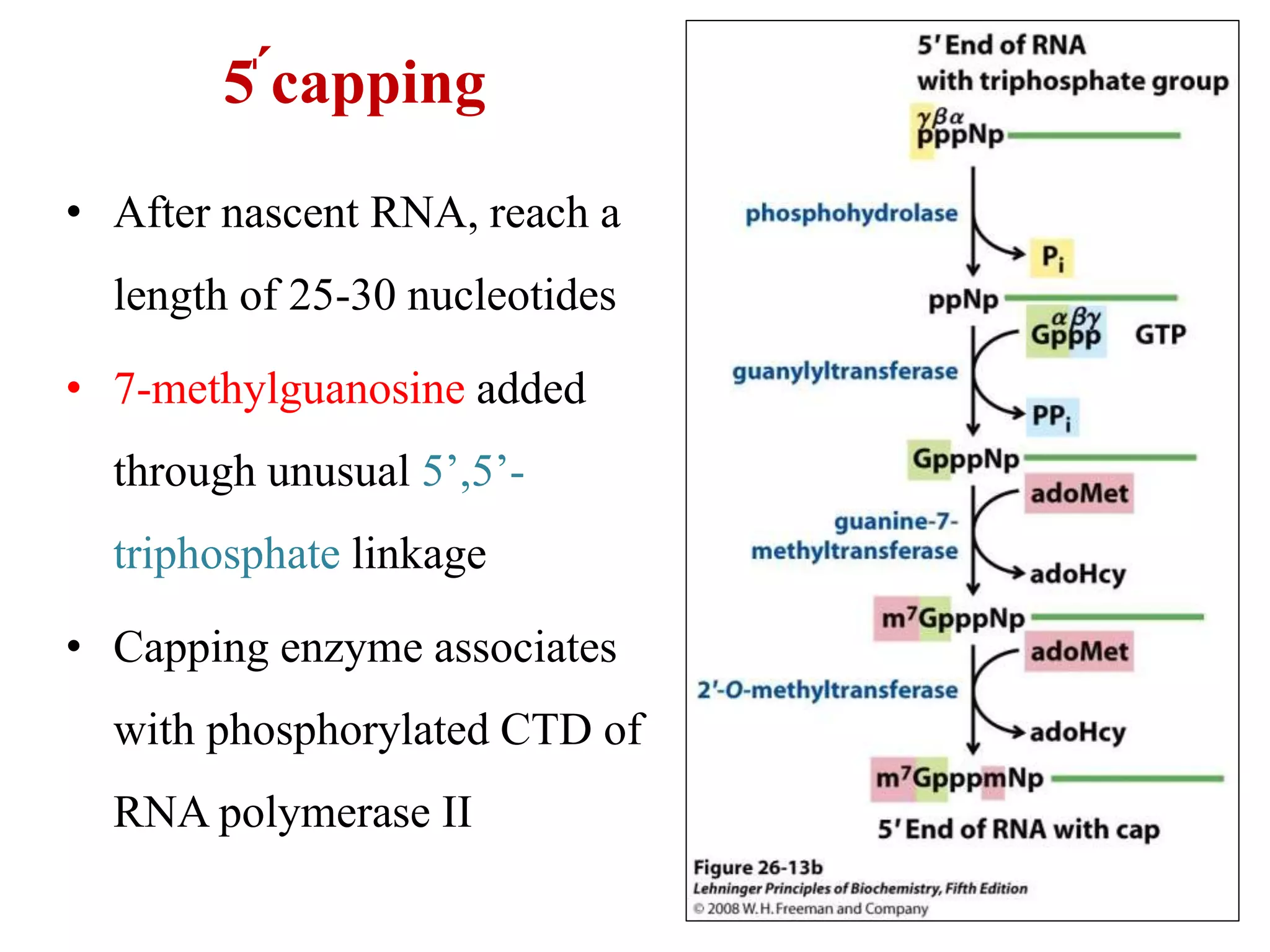 transcription activators, repressors, & control RNA splicing, procesing ...