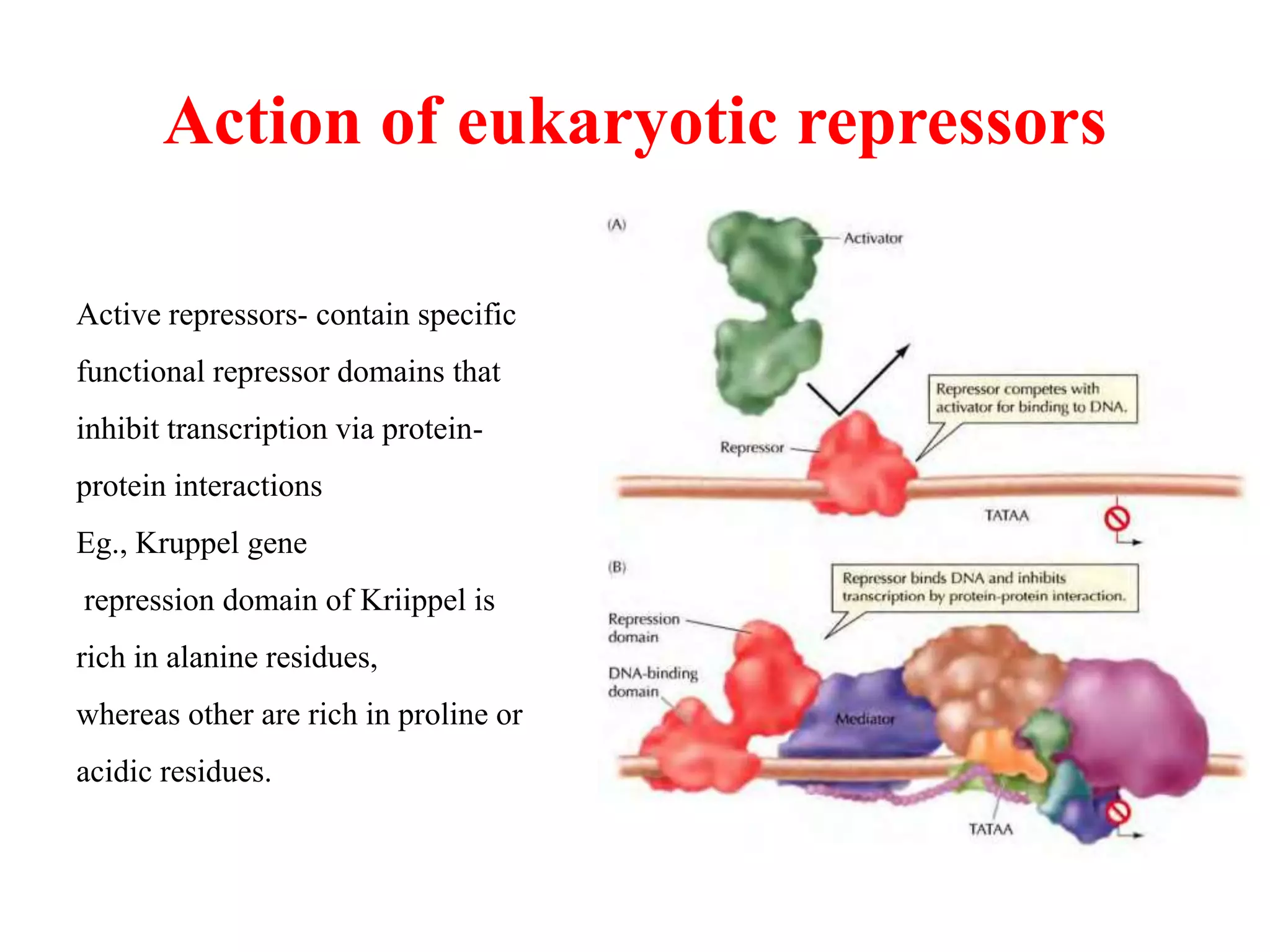 transcription activators, repressors, & control RNA splicing, procesing ...