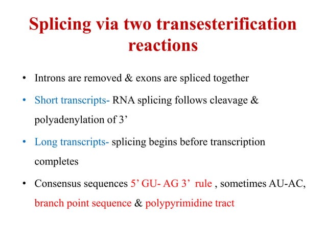 transcription activators, repressors, & control RNA splicing, procesing ...
