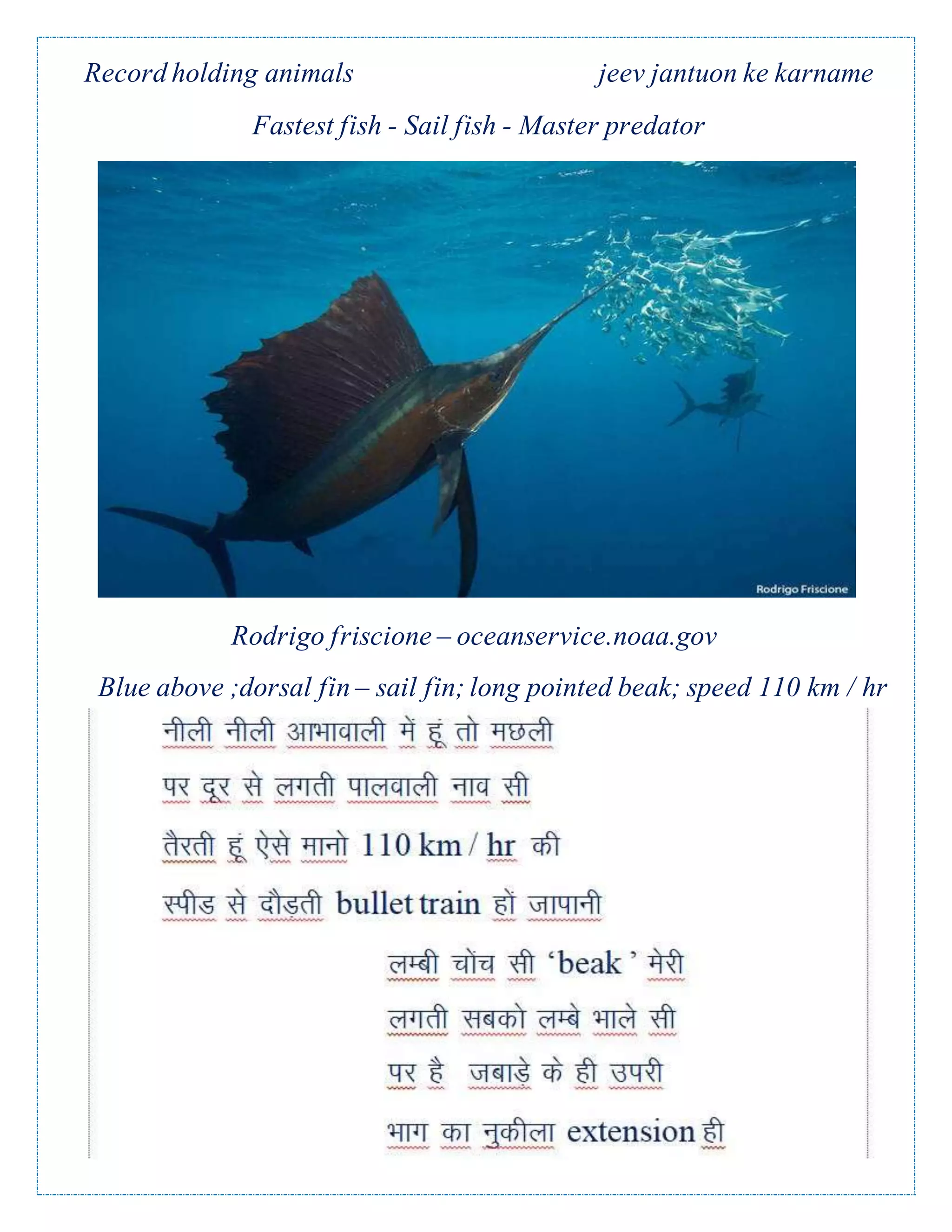 Record holding animals jeevjantuon ke karname chapter 2 fast fish sail fish | PDF