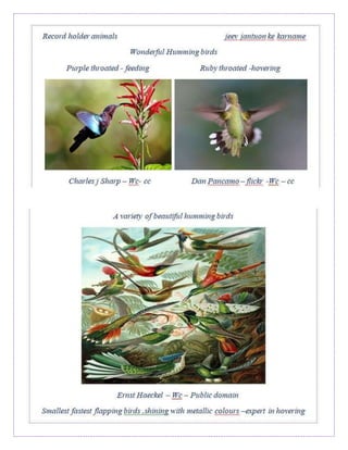 Record holder animals Jeev jantuon ke karname Chapter 8 Humming bird | DOCX