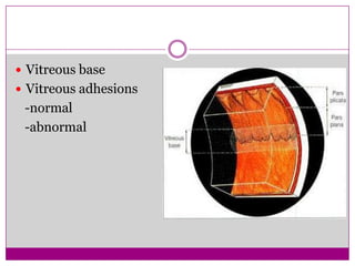 Rhegmatogenous retinal detachment | PPTX