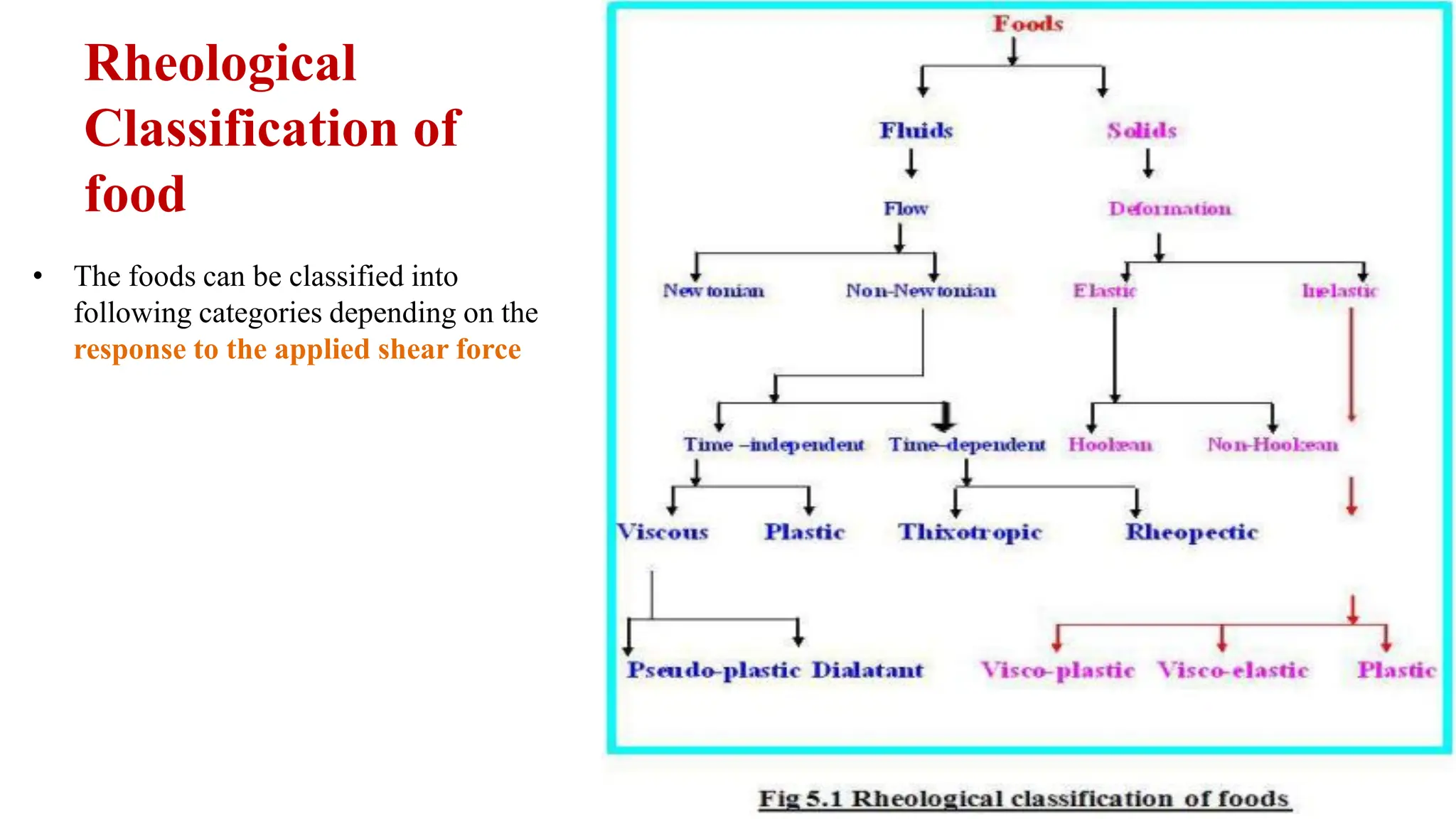 Rheological properties of food Materials | PDF