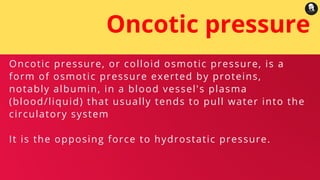 Rheological Properties of blood | PDF