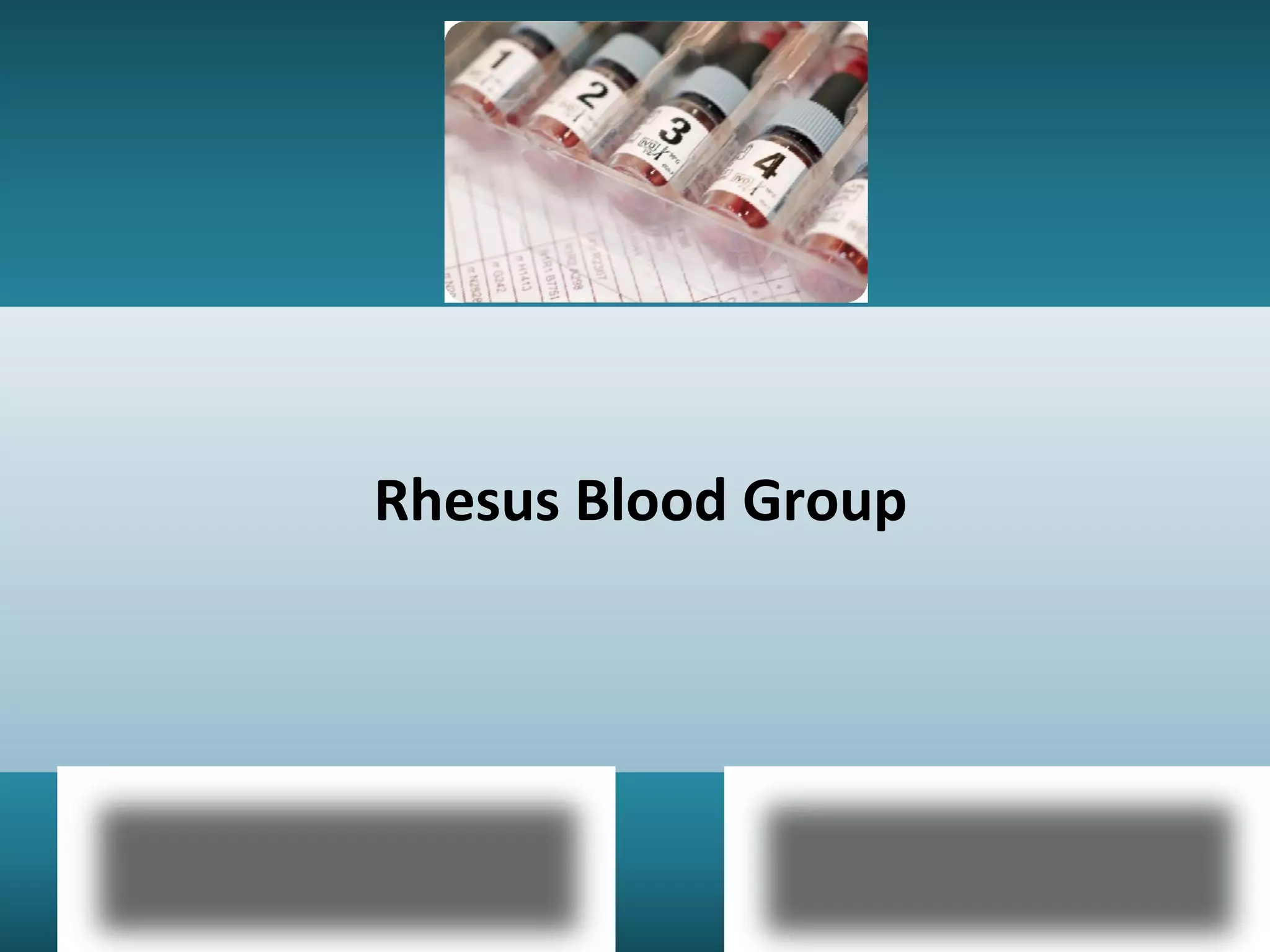 Rhesus | PPT