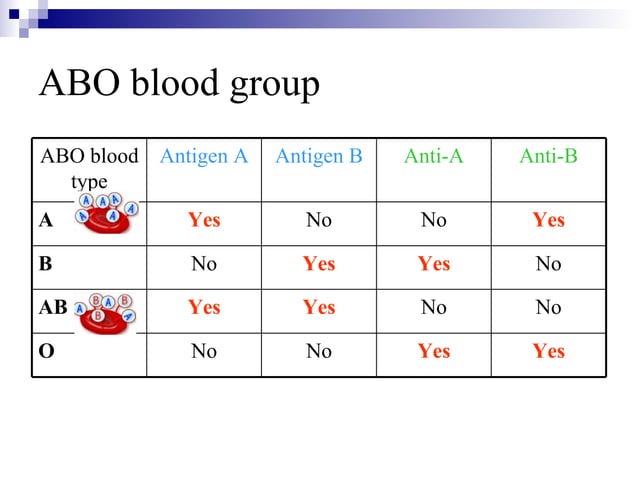 Rhesus Isoimmunisation | PPT | Pregnancy | Reproductive Health