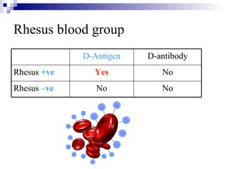 Rhesus Isoimmunisation | PPT