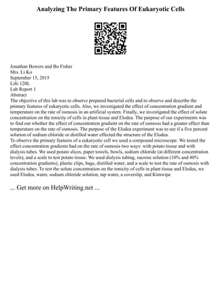 Rhetorical Analysis Essay Example Advertisement - | PDF