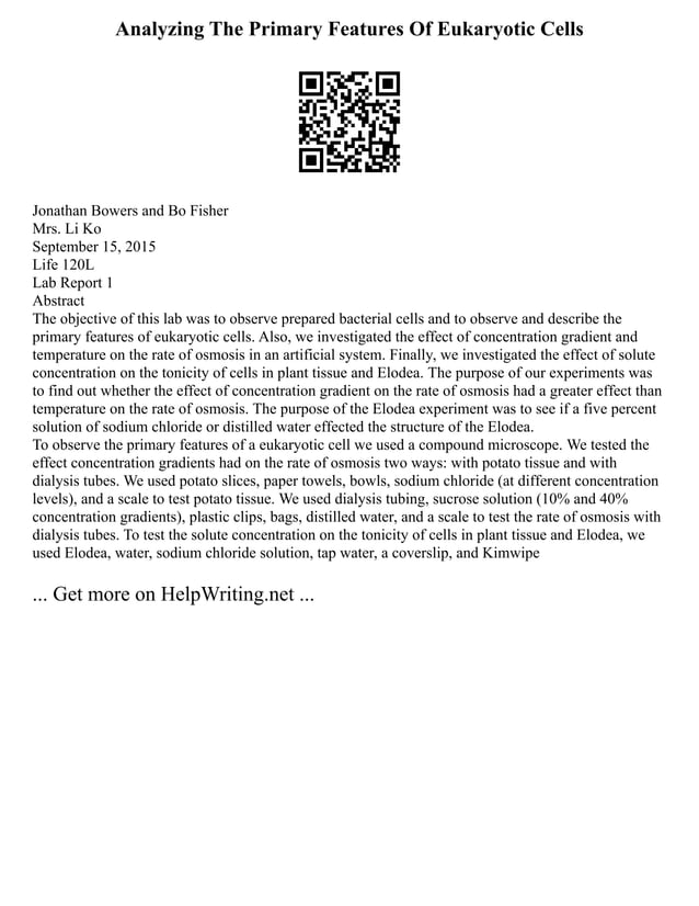 Rhetorical Analysis Essay Example Advertisement - | PDF