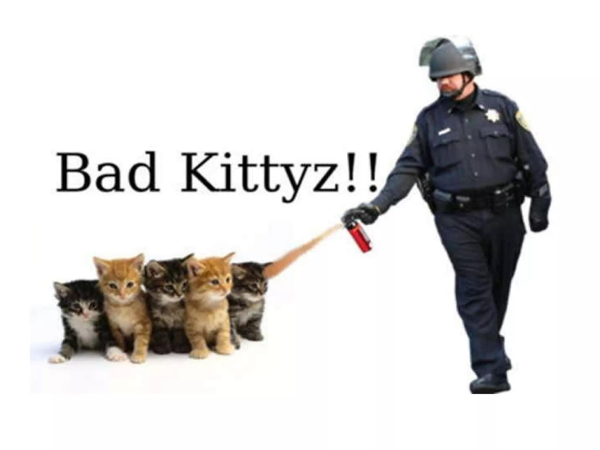 Rhetoric and visual cultures memes | PPT