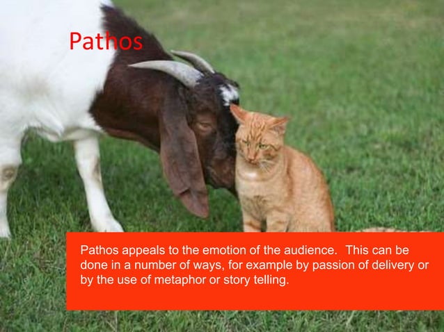 Rhetoric, Stylistics and Discourse Analysis.pptx | High Fashion | Style & Fashion