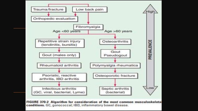rheumatoid arthritis, environmental factors,genetic factors, diagnostic tools,.pptx