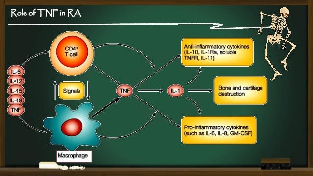 Rheumatoid Arthritis Part