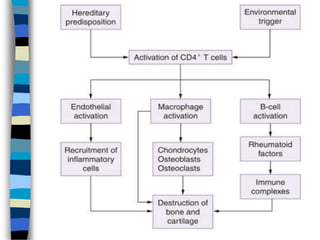 Pathophysiology Of Rheumatoid Arthritis Diagram