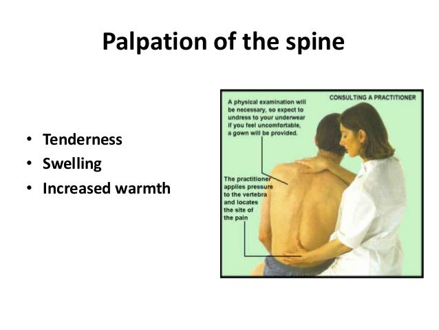 Rheumatological examination