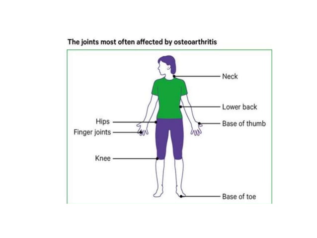 RHEUMATOLOGY(2).pptx