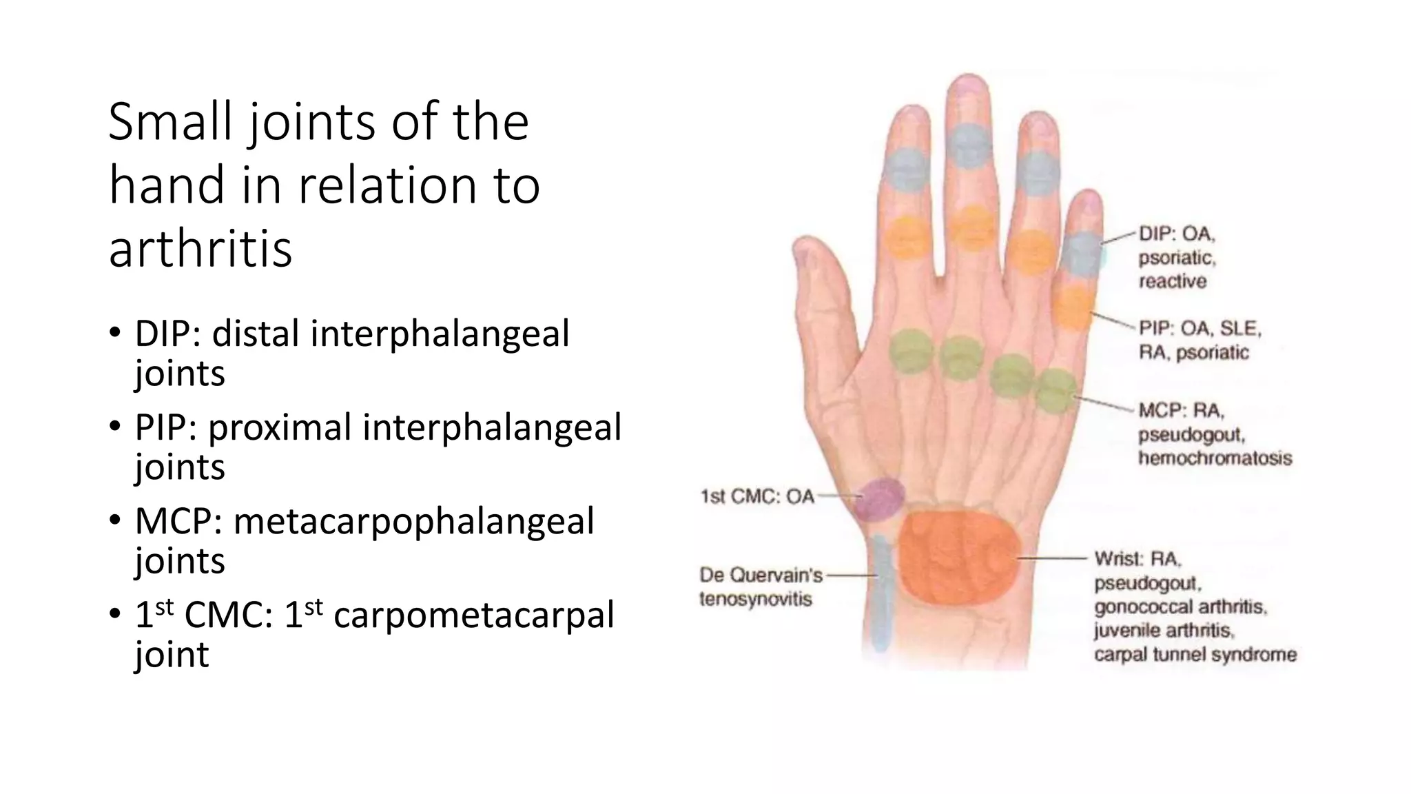 Rheumatology Clinical Examination for Undergrad | PPTX