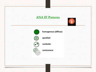 Rheumatology Images | PPTX