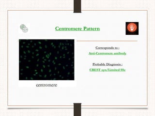 Rheumatology Images | PPTX