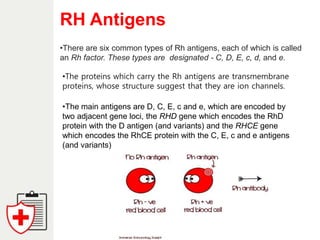 Rh factor | PPTX
