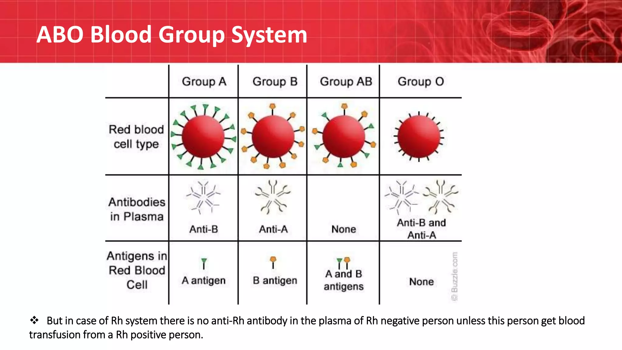 Rh factor and its significance by Prabeen | PPTX