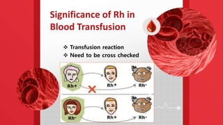 Rh factor and its significance by Prabeen | PPTX