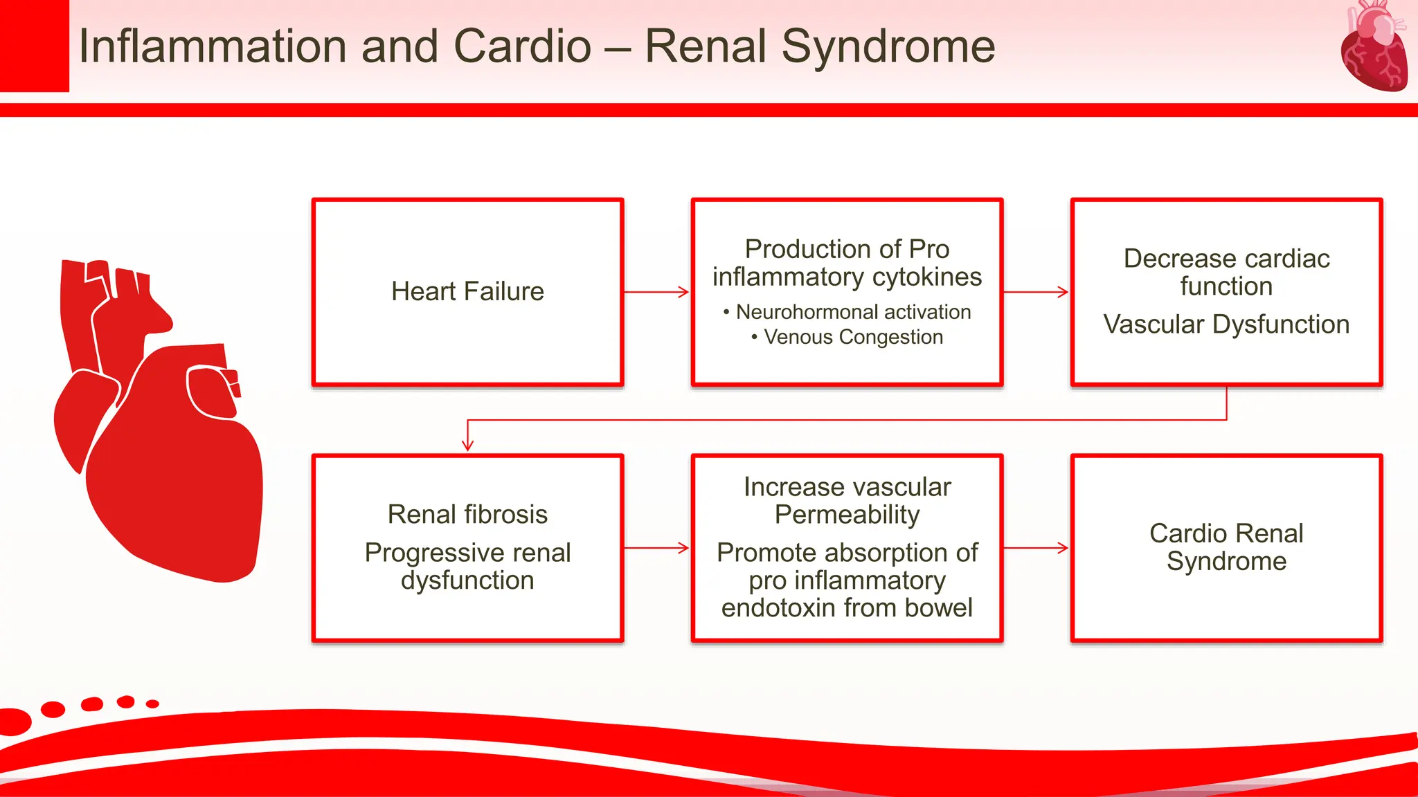 RHF and CRS journal presentation(1).pptx