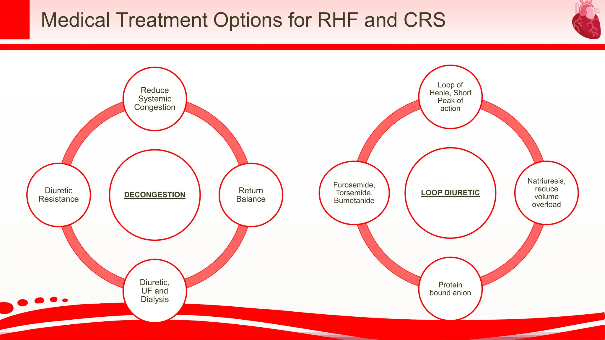 RHF and CRS journal presentation(1).pptx
