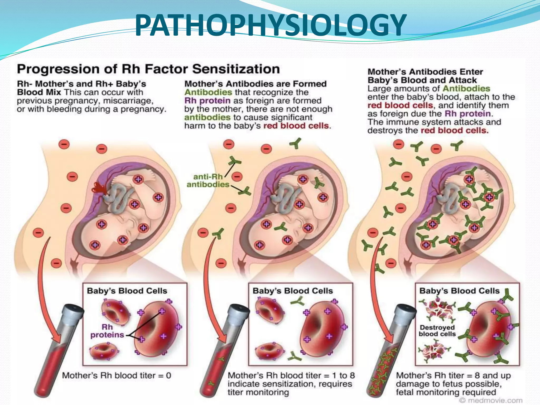 Rh incompatibility | PPTX