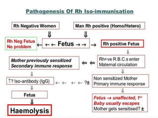 Rh incompatibility | PPTX