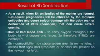 Rh incompatibility/Isoimmunization, BS Nursing | PDF