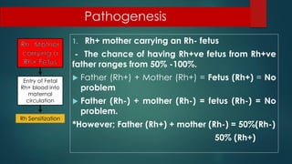 Rh incompatibility/Isoimmunization, BS Nursing | PDF