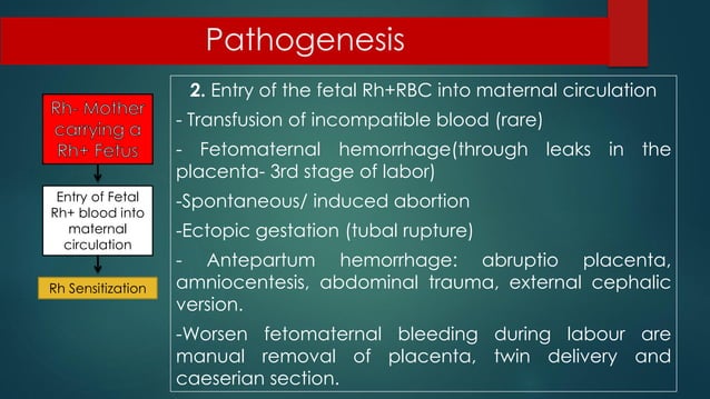 Rh incompatibility/Isoimmunization, BS Nursing | PDF