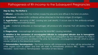 Rh incompatibility/Isoimmunization, BS Nursing | PDF