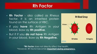 Rh incompatibility/Isoimmunization, BS Nursing | PDF