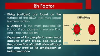Rh incompatibility/Isoimmunization, BS Nursing | PDF