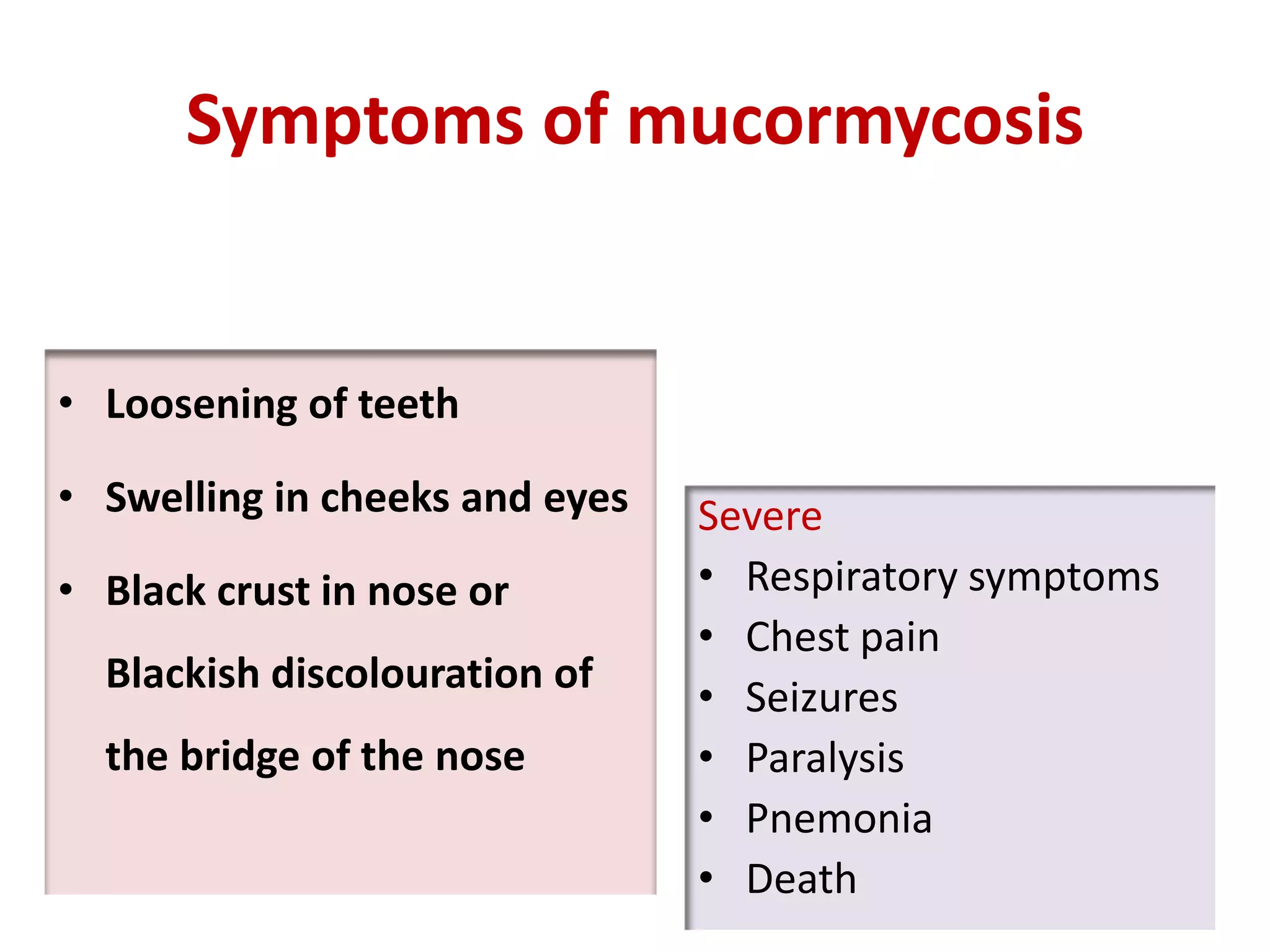 Rhini orbito cerebral mucormycosis | PPTX