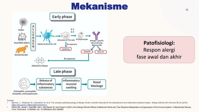 rhinitis alergi rhinitis alergi rhinitis alergi | PPTX