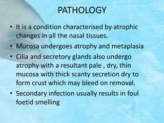 Rhinitis | PPTX