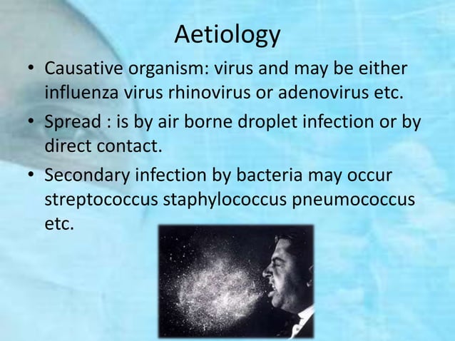 Rhinitis | PPTX | Ear, Nose and Throat Conditions | Diseases and Conditions