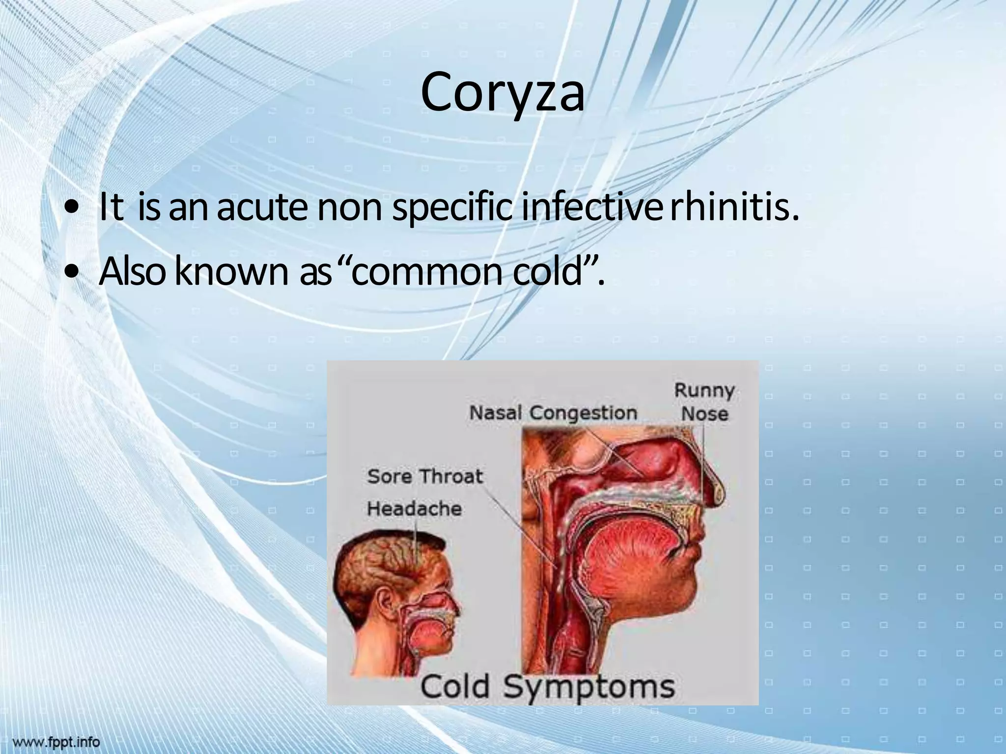 Rhinitis Types Pptx
