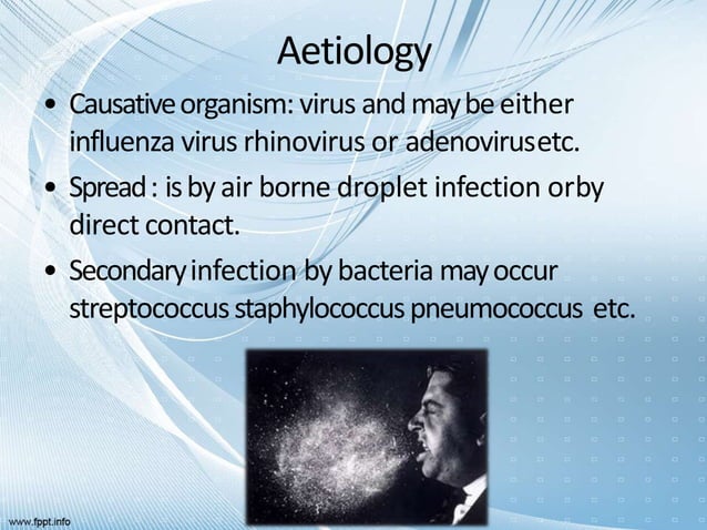 Rhinitis types | PPTX